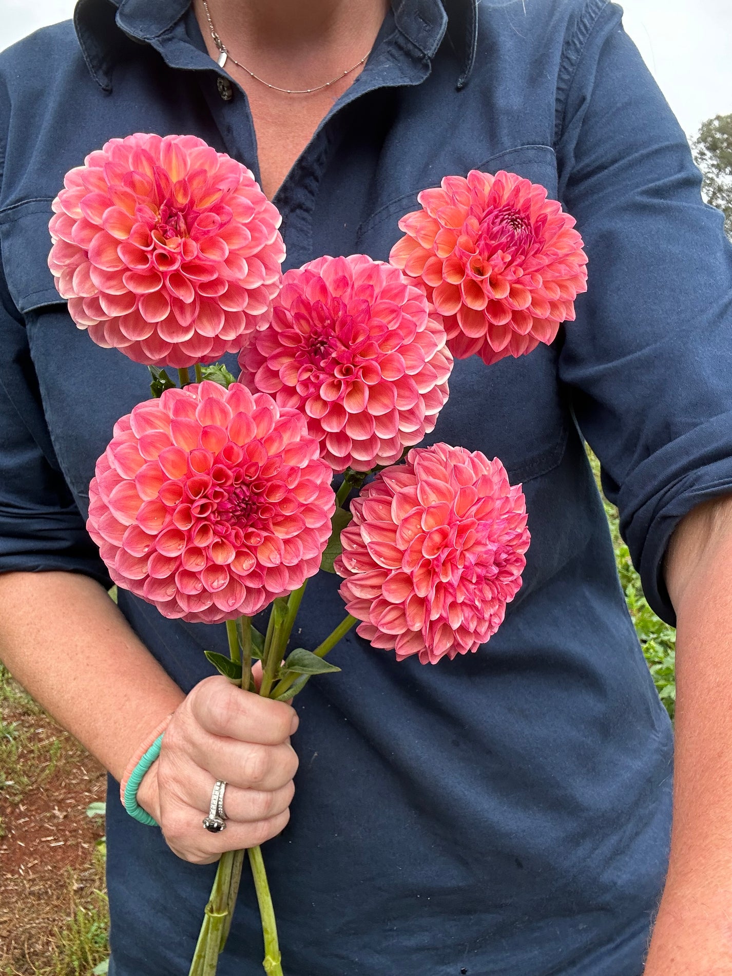 Terracotta – Posy Farm Fresh Flowers