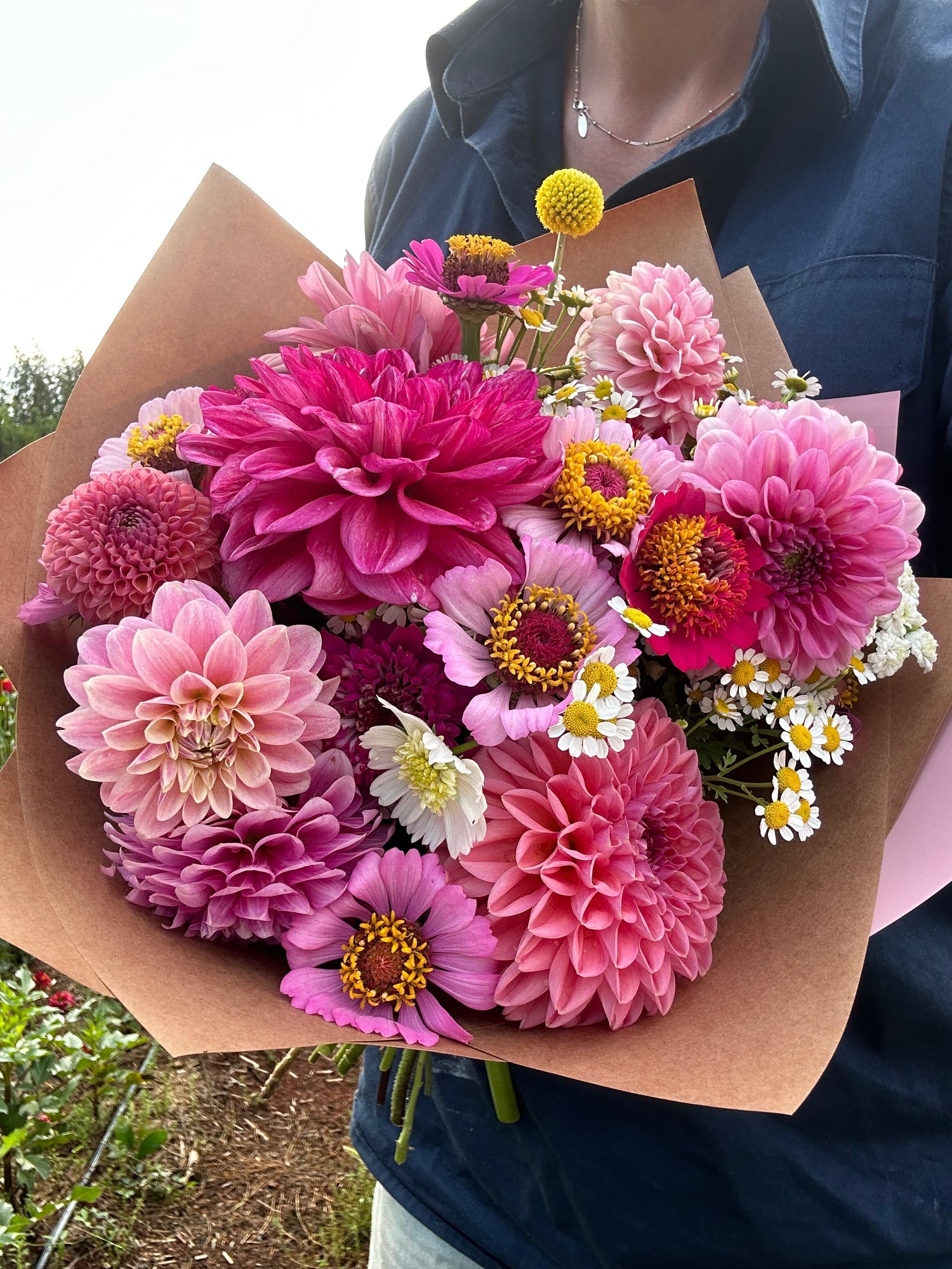 Posy Farm Fresh Flowers – Posy Farm Fresh Flowers